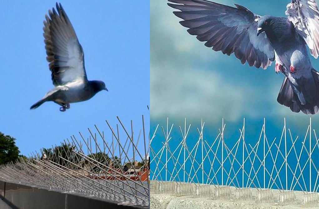 Commercial - Aurora Industries